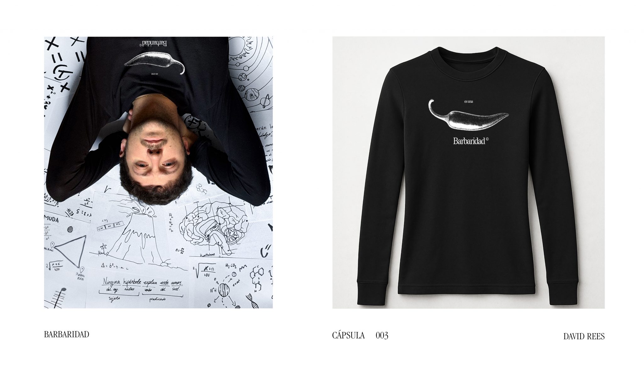 DAVID ★ REES – Web oficial del artista David Rees