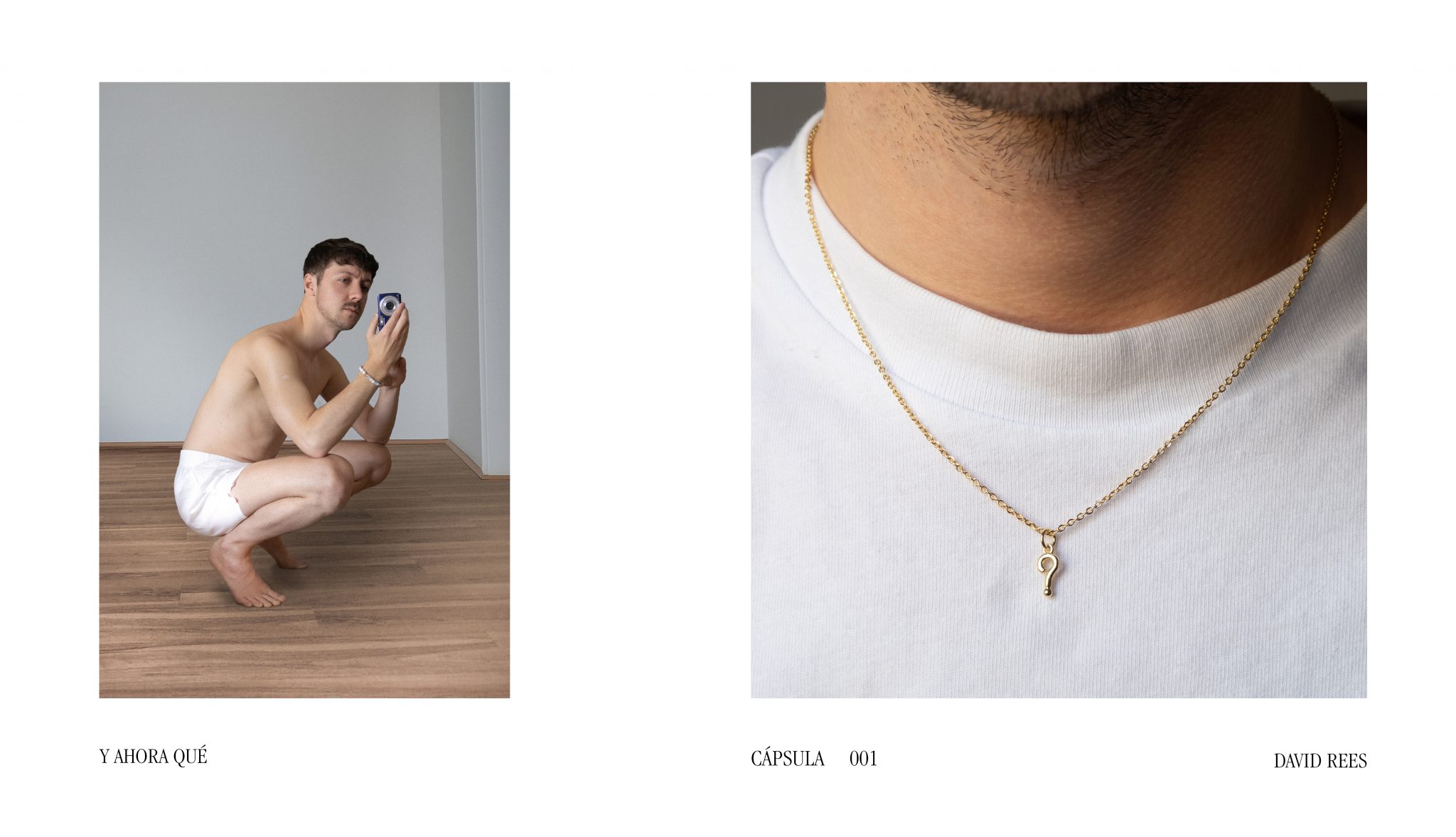 DAVID ★ REES – Web oficial del artista David Rees