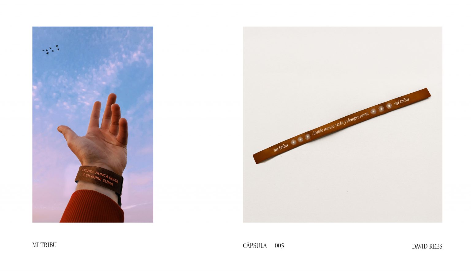 DAVID ★ REES – Web oficial del artista David Rees