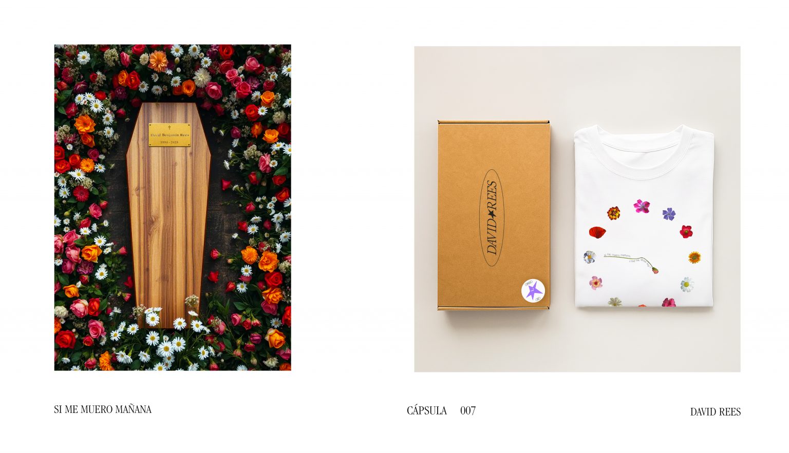 DAVID ★ REES – Web oficial del artista David Rees