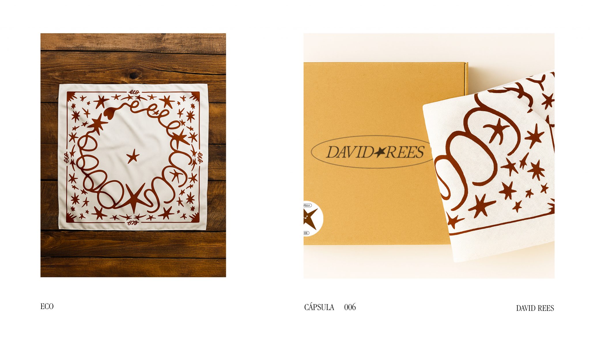 DAVID ★ REES – Web oficial del artista David Rees